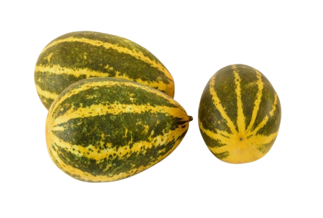 Cucumber / Vellary /Dosekaya/Kerala cucumber